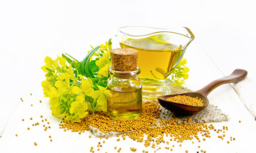 What You Need to Know About Yellow Mustard Oil – Nayesha Oil Mills